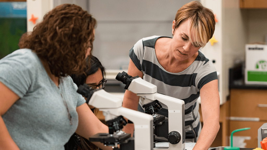 TAMUSA 2 - THE TEXAS A&M UNIVERSITY SYSTEM