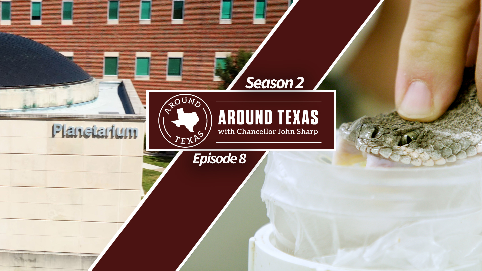Home - The Texas A&M University System